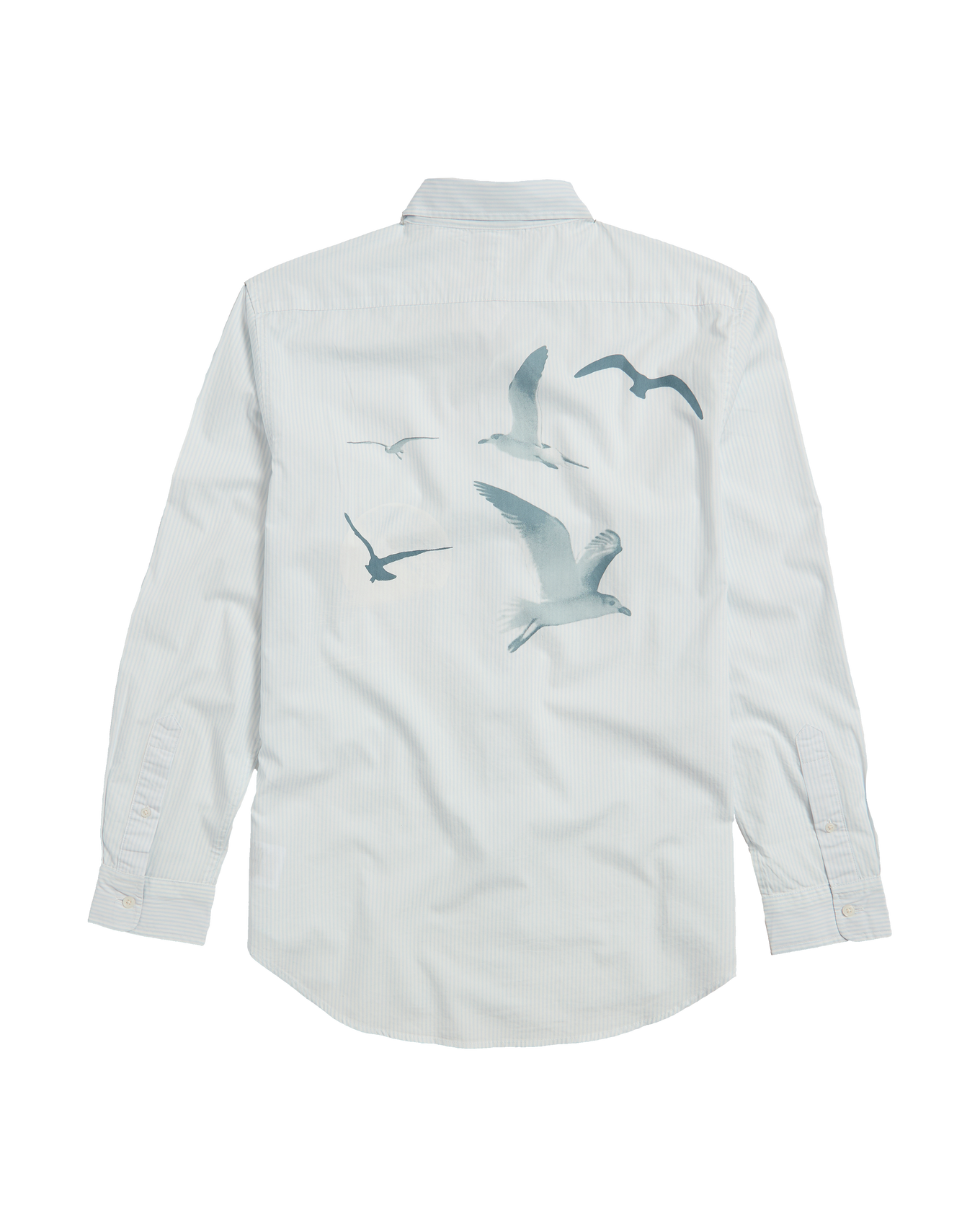 All Merch – Taylor Swift CA